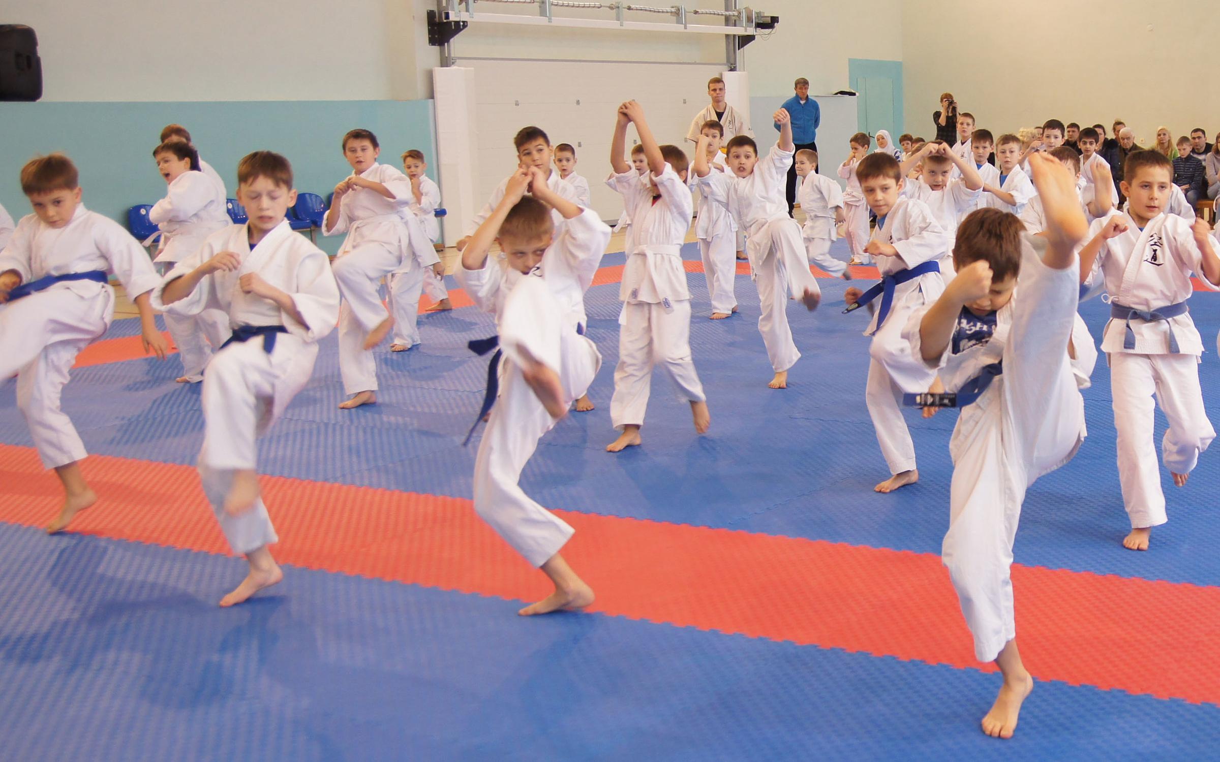 Kudo-Combat-Kubat – международная академия боя – отзывы, прайсы ...