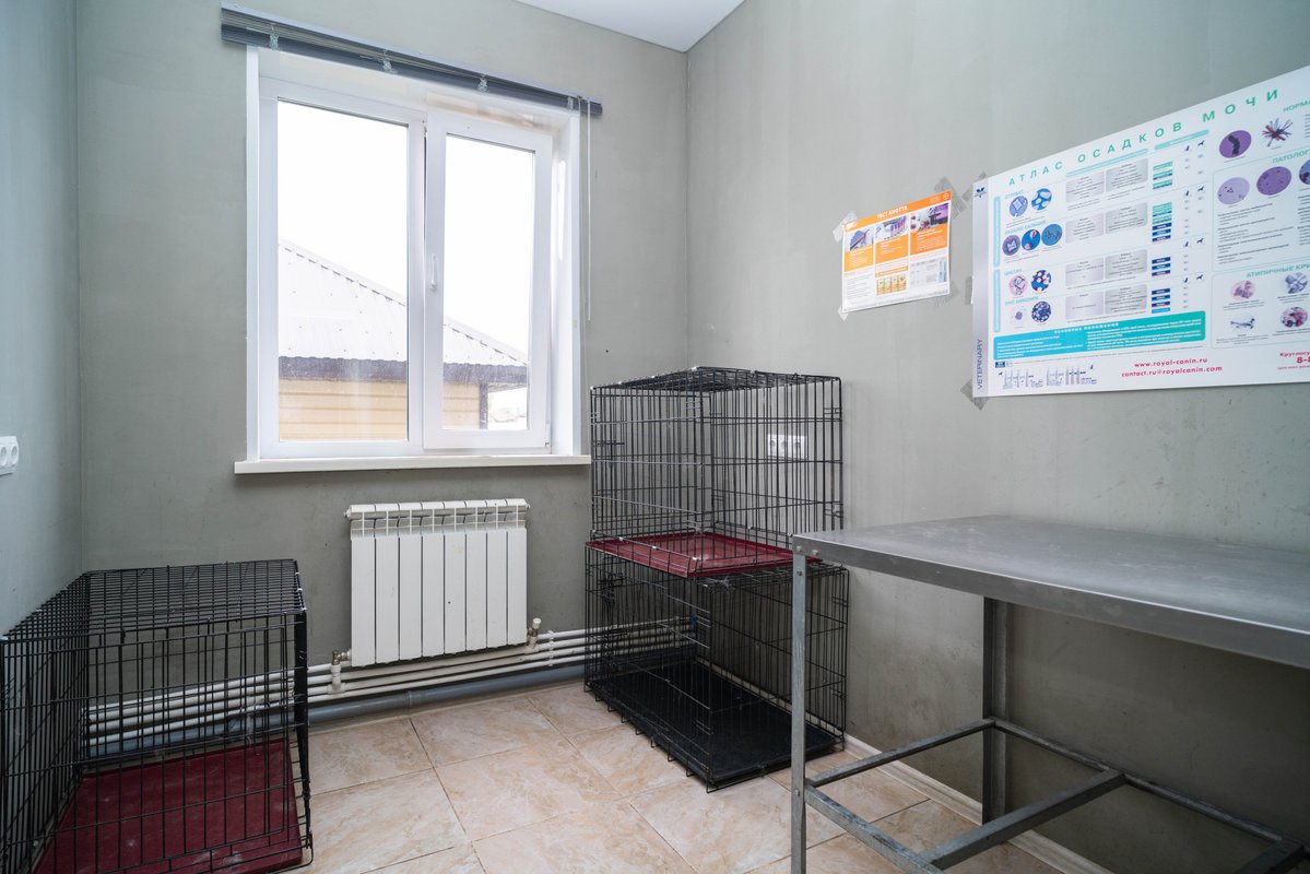 Ветеринарная клиника на Заречной улице, 6д, Уфа – отзывы, фото, цены, телефон – Zoon.ru